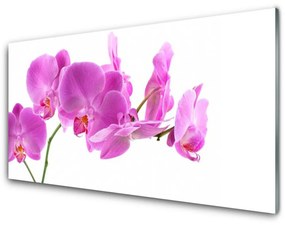 akrylový obraz Květiny Rostlina Příroda 120x60 cm