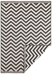 NORTHRUGS - Hanse Home koberce Kusový koberec Twin Supreme 103433 Palma black creme – na ven i na doma - 160x230 cm