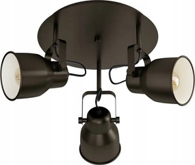 Lampa spot reflektor Mitchley 43388 Eglo