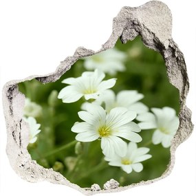 Wallmuralia Samolepící nálepka na zeď Jarní květiny 75x75 cm