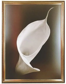 Neznámý autor - Calla I | 67.4x87.4