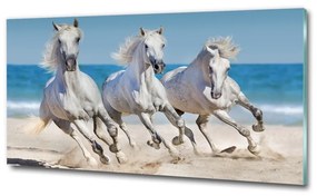 Wallmuralia Foto-obraz na skle Bílí koně pláž 100x50