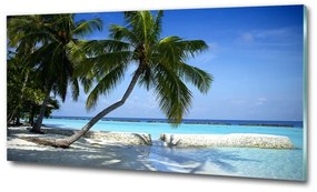 Wallmuralia Foto obraz fotografie na skle Tropická pláž 100x50