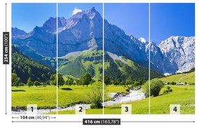 Fototapeta Panorama Alp 104x70