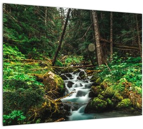 Obraz potoku v lese (70x50 cm)