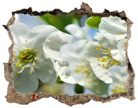 Wallmuralia Samolepící díra nálepka Květ višně 95x64 cm