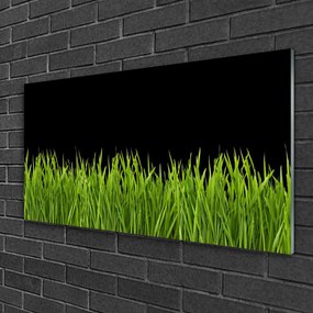 Obraz na skle Zelená Tráva Příroda 100x50 cm
