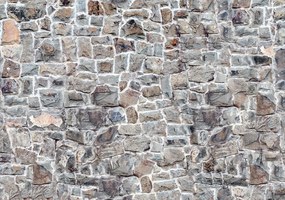 Postershop Fototapeta vliesová: Kamenná zeď (7) - 368x254 cm