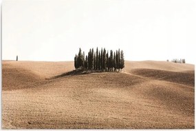 Foto-Obraz úrovně-y Plátno Canvas Toscana 70x50