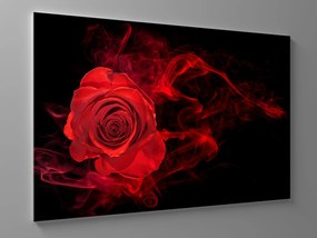 Liox Obraz růže v červeném dýmu Rozměr: 100 x 65 cm