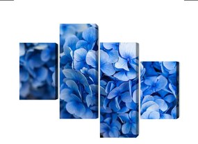 Vícedílný obraz Modré Květy Hortenzie Zblízka Nedostatek Nedostatek Plátno Canvas 120x75