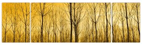 Obraz - Plantáž stromů (170x50 cm)