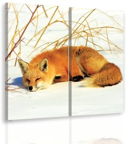 Malvis ® Vícedílný obraz - Spící liška Velikost: 60x60 cm