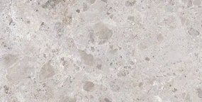 Dlažba Argenta Petra grey 60x120 cm mat PETRA612GR