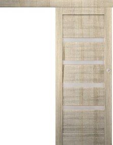 posuvné interiérové dveře na stěnu vasco doors EVORA model 4 Průchozí rozměr: 70 x 197 cm, Orientace dveří: Levé dveře, Dekor: Dub Santa