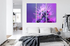 Vícedílný obraz Makro Rostlina Na Růžovo-Fialovém Pozadí Nedostatek Nedostatek Plátno Canvas 60x40