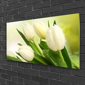 Obraz na skle Tulipány Květiny Rostlina 120x60 cm