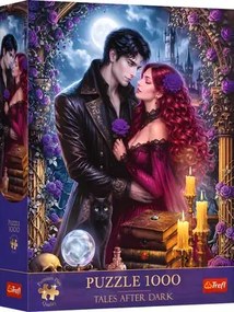 TREFL Puzzle Premium Plus Příběhy po setmění / 1000 dílků / 48 x 68,3