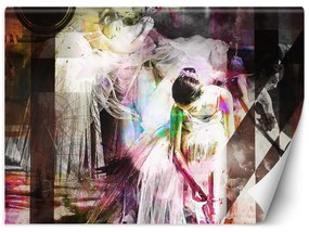 Fototapeta, Baletka Abstraktní vintage - 254x184 cm