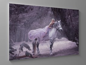 Liox Obraz jednorožec a žena Rozměr: 90 x 60 cm