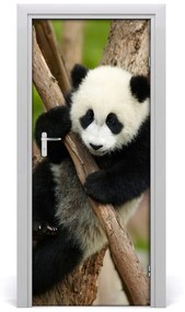 Samolepící fototapeta na dveře Panda na stromě 75x205 cm
