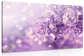 Obraz fialový květ šeříku Varianta: 60x40