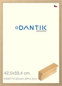 DANTIK rámeček 42x59,4 | KASSETTE přírodní (BPU) (Plexi Čiré)