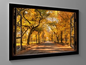 Liox 3D obraz okno Central Park Rozměr: 120 x 80 cm