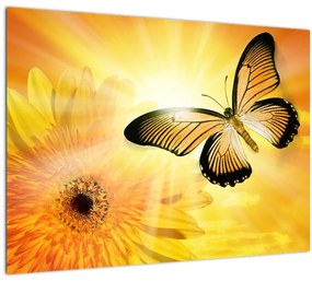 Skleněný obraz - Žlutý motýl s květem (70x50 cm)