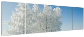 Obraz  zasněžené krajiny (170x50 cm)