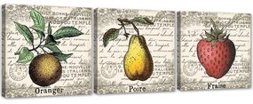 Gario Sada obrazů na plátně Retro ovoce - 3 dílná Rozměry: 90 x 30 cm