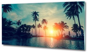 Wallmuralia Fotoobraz na skle Západ slunce palmy 100x50