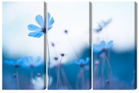 Vícedílný obraz Jemné Modré Květy Nedostatek Nedostatek Přírodní plátno 120x80