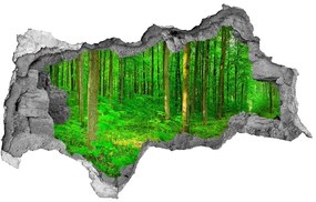 Wallmuralia Samolepící díra nálepka Stromy v lese 95x73 cm