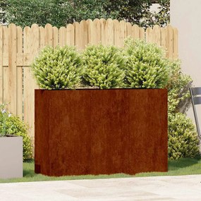 vidaXL Truhlík rezavá 120x40x80 cm [860721] Barva: antracitová