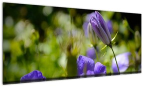 Modrá květina - obraz (100x40cm)