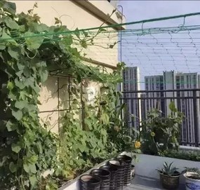 Gardlov Podpůrná síť na pěstování rostlin 2x10m - zelená