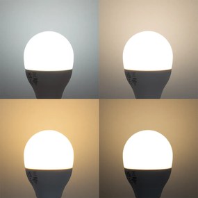 Sada 5 chytrých LED žárovek E14 G45 Opal RGBW 4,9W 470 lm 2700-6500K