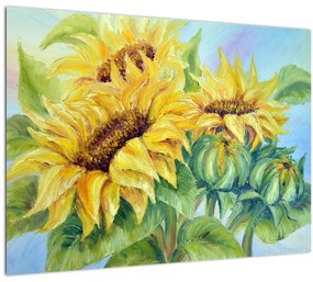 Skleněný obraz rozkvetlých slunečnic (70x50 cm)