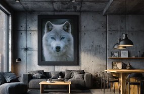 Ledový pohled - obraz - Bílý vlk s modrýma očima 27 - A4 – 210 × 297 mm - 149 Kč