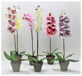 PROHOME - Orchidea umelá 63cm různé druhy