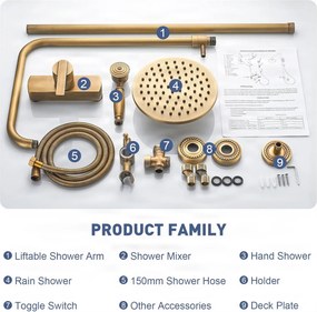 Nástěnný sprchový systém ELITE EDITION BSE1508 v provedení starožitná mosaz a dalších barevných variantách