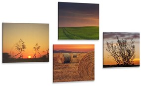 Set obrazů romantický západ slunce na louce - 4x 40x40 cm