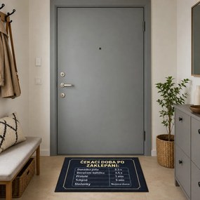 Mercury Flooring, Rohožka Čekací doba 40x60 cm - na ven i na doma, 40x60, černá