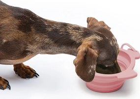 United Pets Cestovní miska skládací MUZZLE pro psy 500 ml růžová
