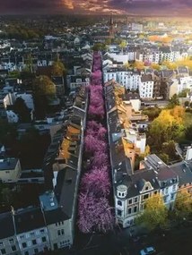 Ravensburger Bonn v květu / 1500 dílků / od 14 let