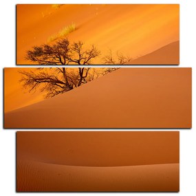 Obraz na plátně - Červené písečné duny - čtverec 3133D (105x105 cm)