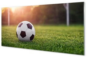 Obraz na skle Fotbal tráva gateway 100x50 cm