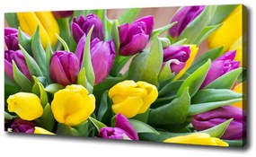 Wallmuralia Foto obraz canvas Barevné tulipány 100x50