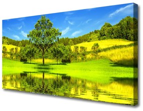 Obraz na plátně Louka Strom Příroda 120x60 cm